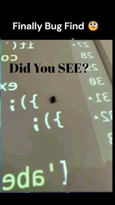 Finally Bug Find Coder Computerprogrammer Memes Coding Softwaredeveloper Smartphone Html