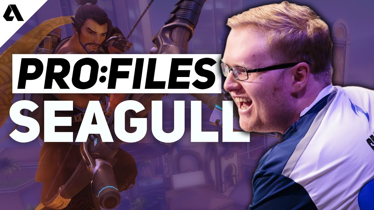 PROfiles: Brandon "Seagull" Larned | Overwatch League Player Profile ...
