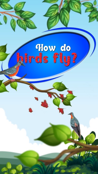 How Do Birds Fly? Flying Mechanism Of Birds!! @runaikids - YouTube