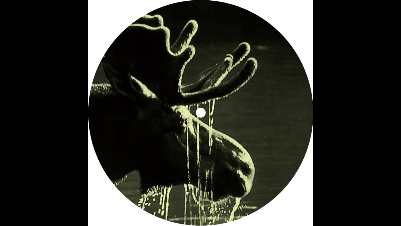 Quantec - Wing Root Chord - YouTube