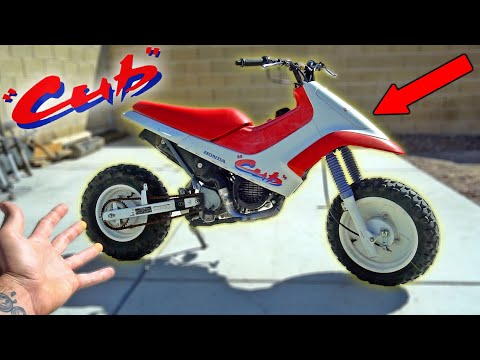 Honda CUB EZ90 FIRST START after 13 YEARS!