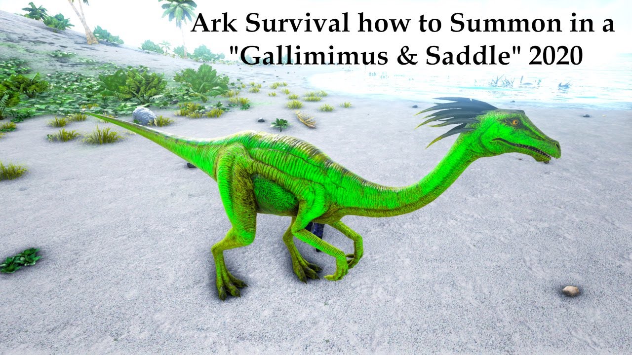 Ark Survival How to Summon in a Gallimimus & its Saddle 2020 - YouTube