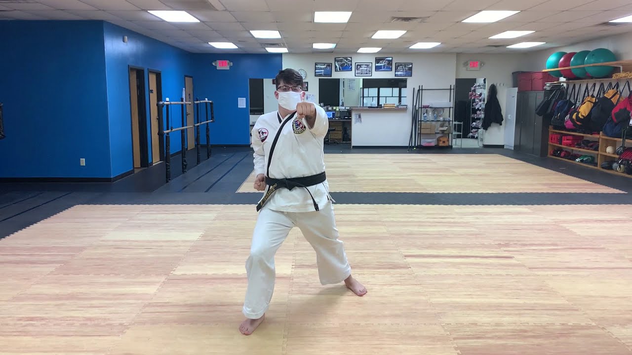 White Belt One-Step Combinations - YouTube