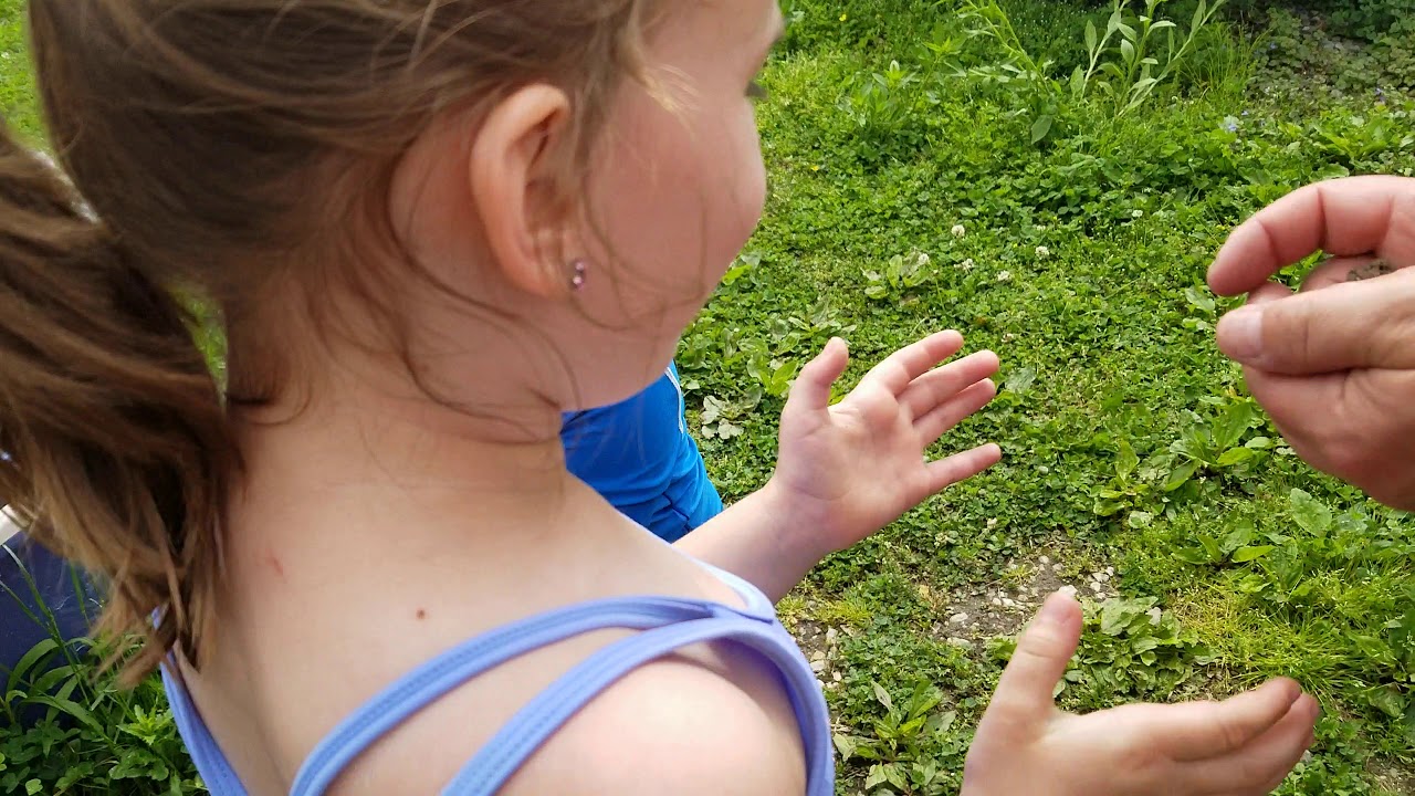 Madison found a frog - YouTube