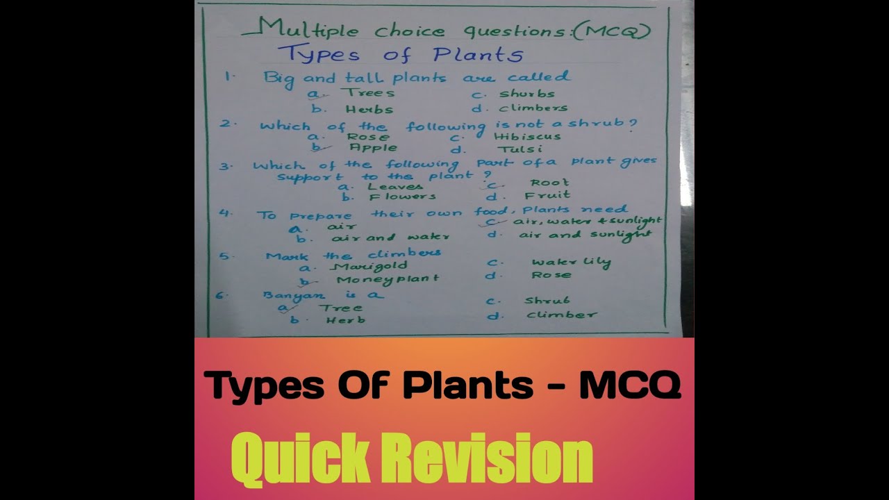 MCQ-Types of Plants For Quick Revision Before exam- CBSE/ICSE - GRADE 2 ...
