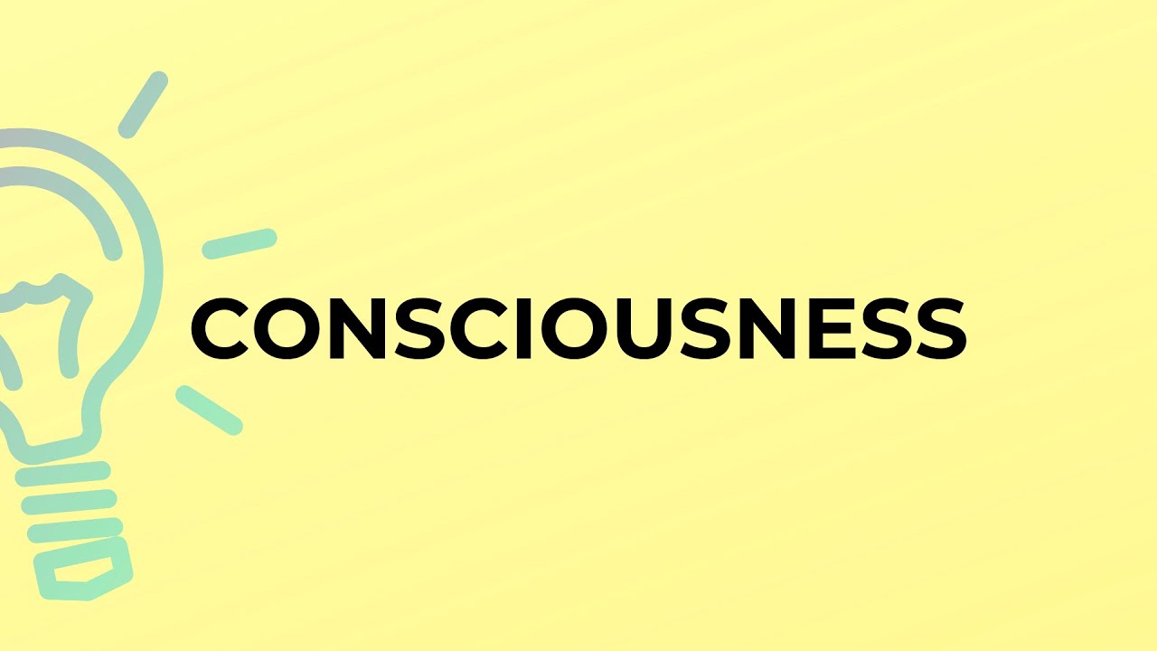 What is the meaning of the word CONSCIOUSNESS? - YouTube