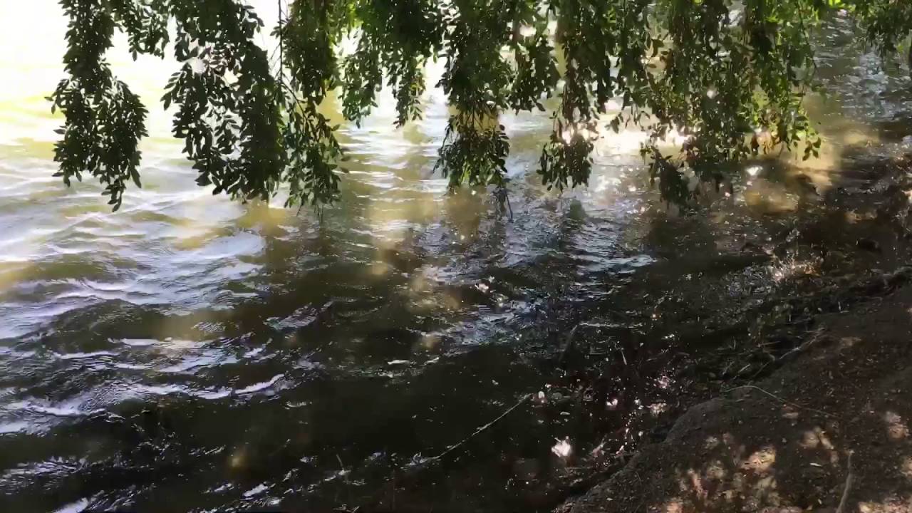 Legg Lake at Whittier Narrows Recreation Area. South El Monte, CA. July ...