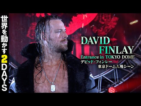 David Finlay's Wrestle Kingdom 18 Tokyo Dome entrance!