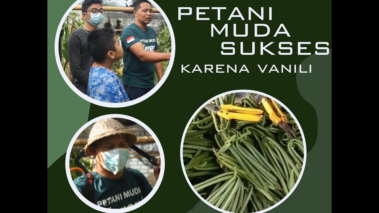 JUTAWAN MUDA PETANI VANILI BALI - YouTube