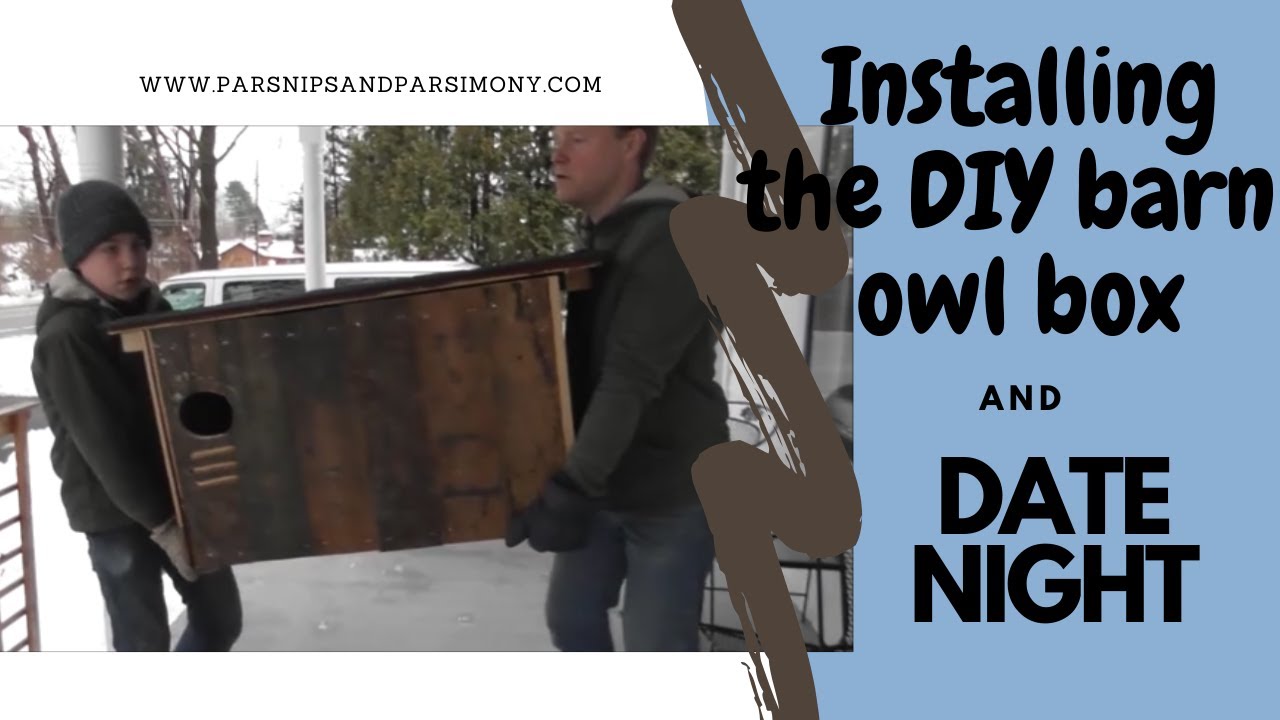 Installing the DIY Barn Owl Nesting Box - YouTube