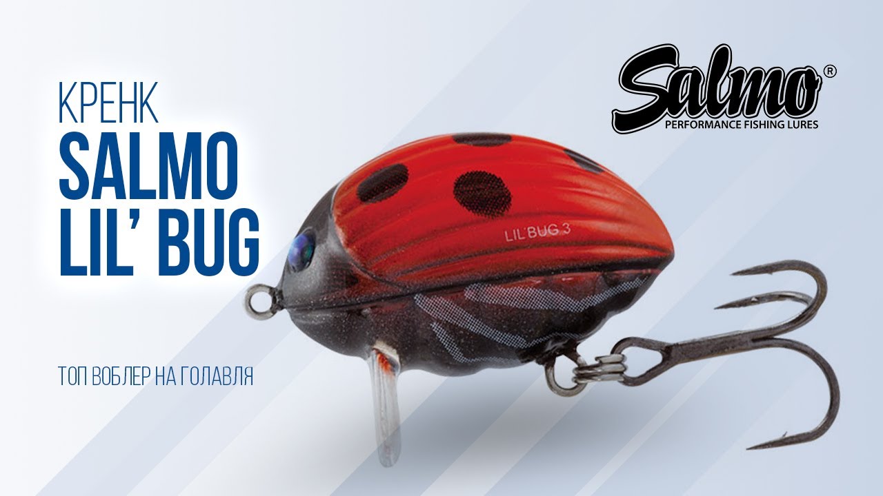 Как ловить на поверхностный воблер Salmo Lil' Bug. Маленький воблер с ...
