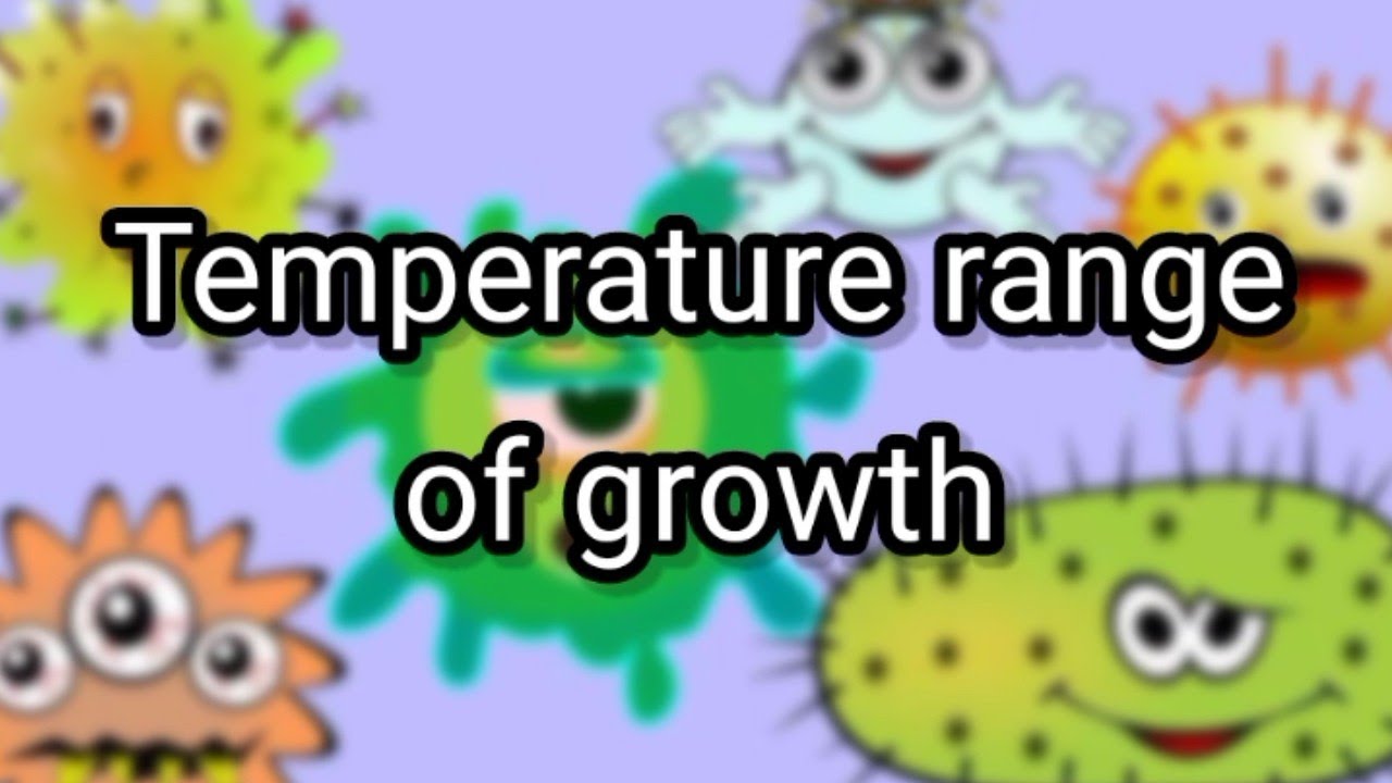 Temperature range of growth/ microbial physiology / bsc micro/ - YouTube