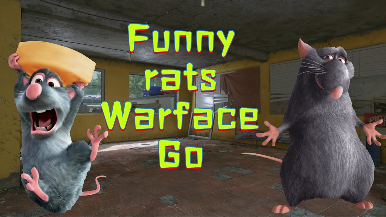 Funny rats in warface go fps shooting games @lets02play - YouTube