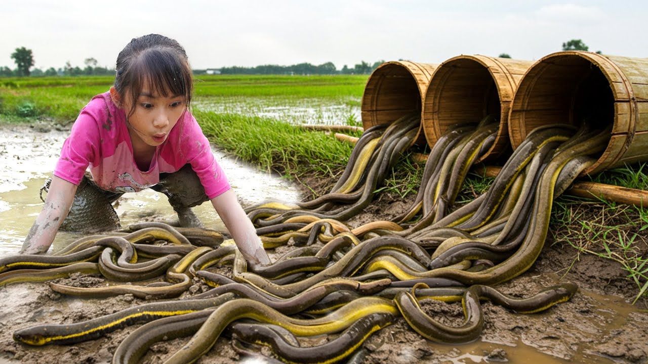 Amazing: How to Make Eel Devil's Trap with GIANT BAMBOO TUBE ...