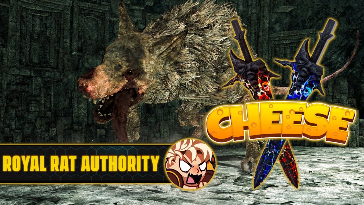 Dark Souls 2 Royal Rat Authority Boss Fight (cheese) - YouTube