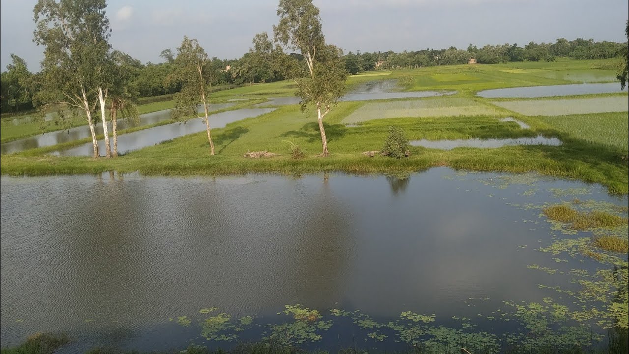 #Prokiti_photo#Prokiti_in-bangali#Prokiti_Prokiti#MR_AMIRUL_YT - YouTube