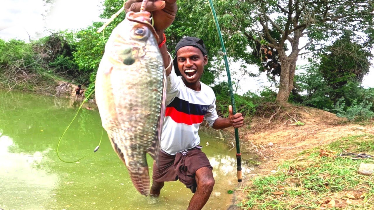 Thoondil fishing for River | தூண்டில் போட்டு மீன் வேட்டை # ...