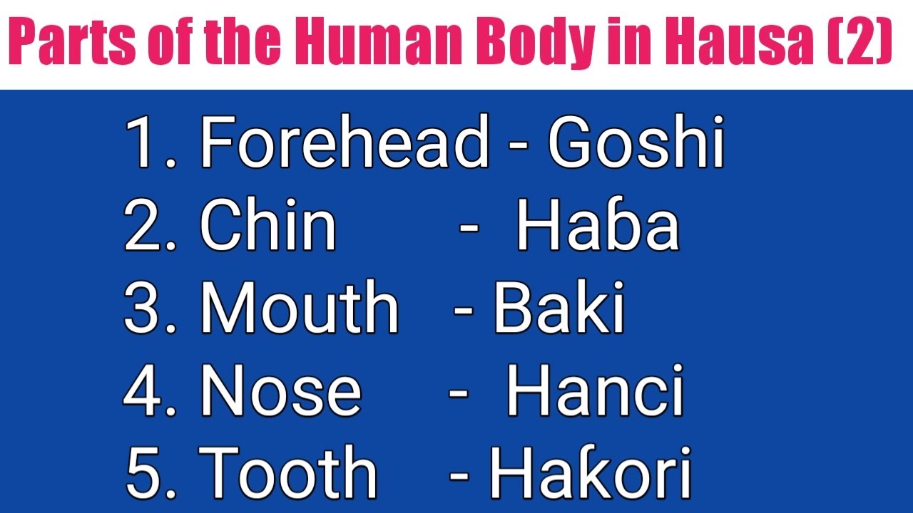 Koyon Turanci: Parts of the Human Body in English and Hausa Part 2 - YouTube