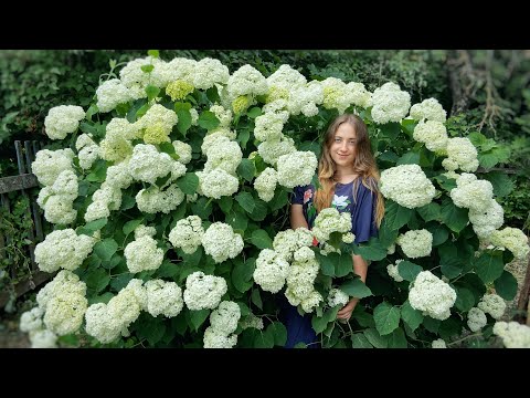 July Garden Tour 2022