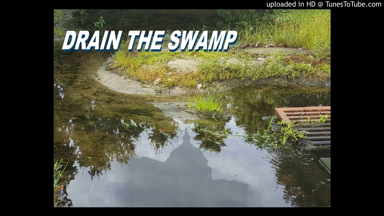 Trump, Drain The Swamp - YouTube