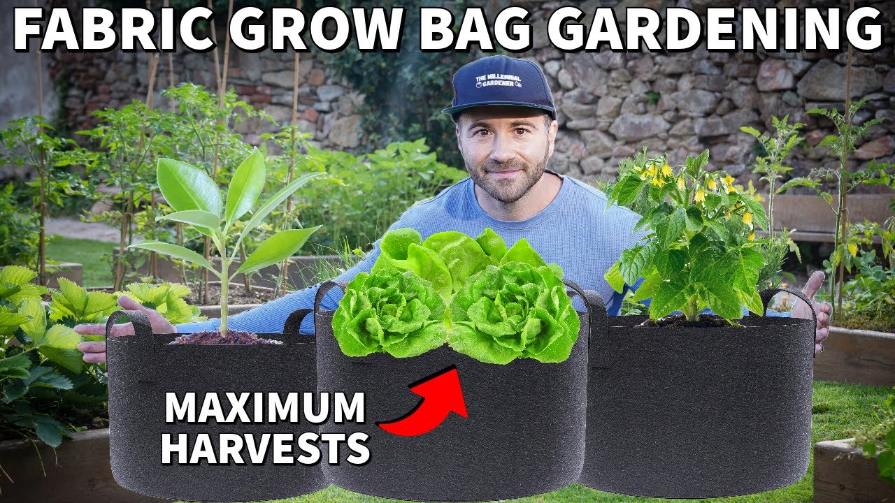 How To Use Fabric GROW BAGS For The Container Garden Of Your Dreams ...