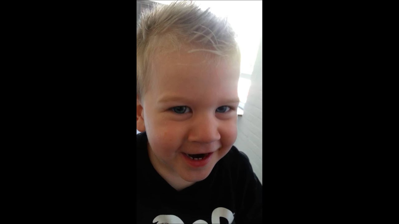 cursus haags "haagse reiger piemel piemel" - YouTube