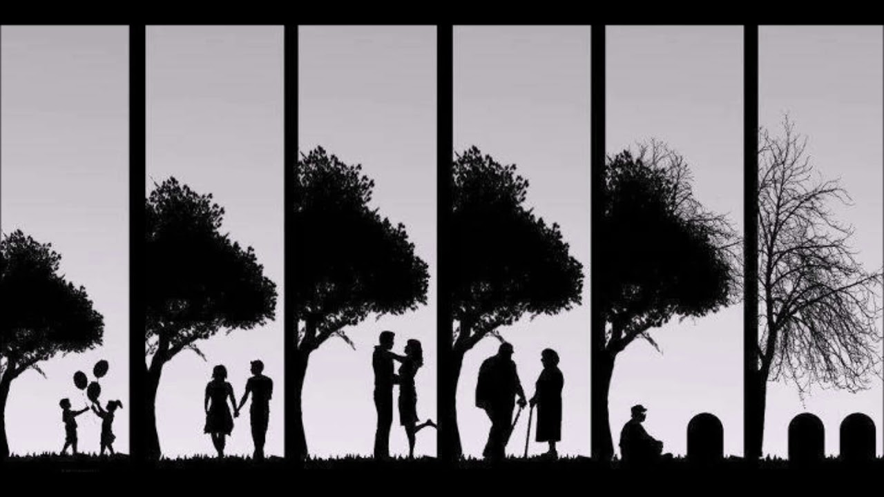 Sam Harris on death - You've got this one opportunity to fall in love ...