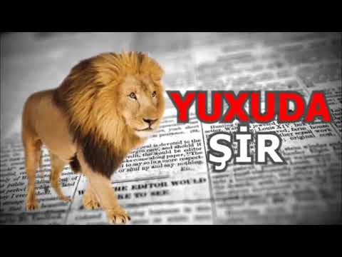 Yuxuda şir gormek. Shir Aslan yuxuda nece yozulur?