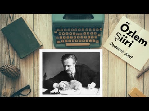 Özlem Şiiri - Özdemir Asaf (İLK KURGUSAL ÇALIŞMAMIZ)