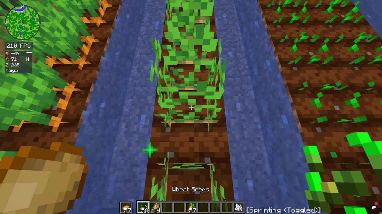 How to AUTO-FARM in Minecraft! - YouTube