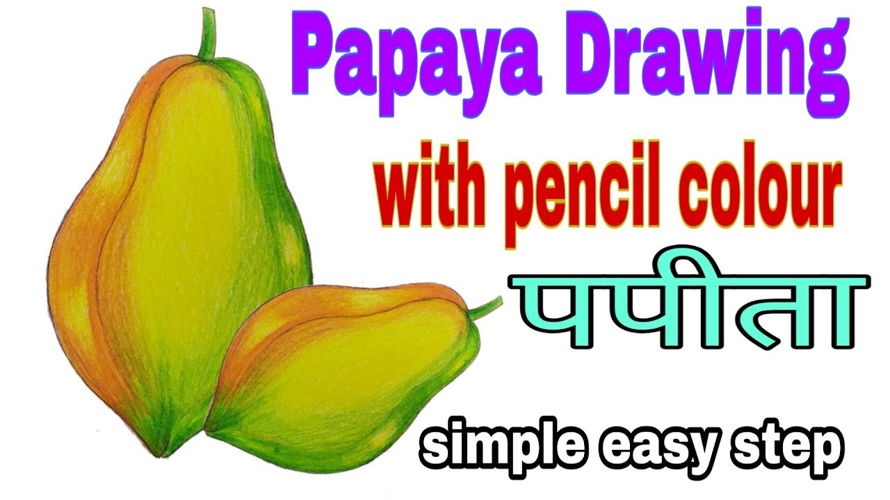 how to draw a papaya easy step//papaya Drawing with colour Pencil ...