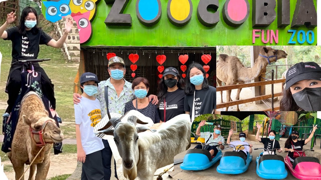 ZOOCOBIA 🐪! Camel na pwedeng sakyan & Fun Ride, Zipline, Maze, etc ...