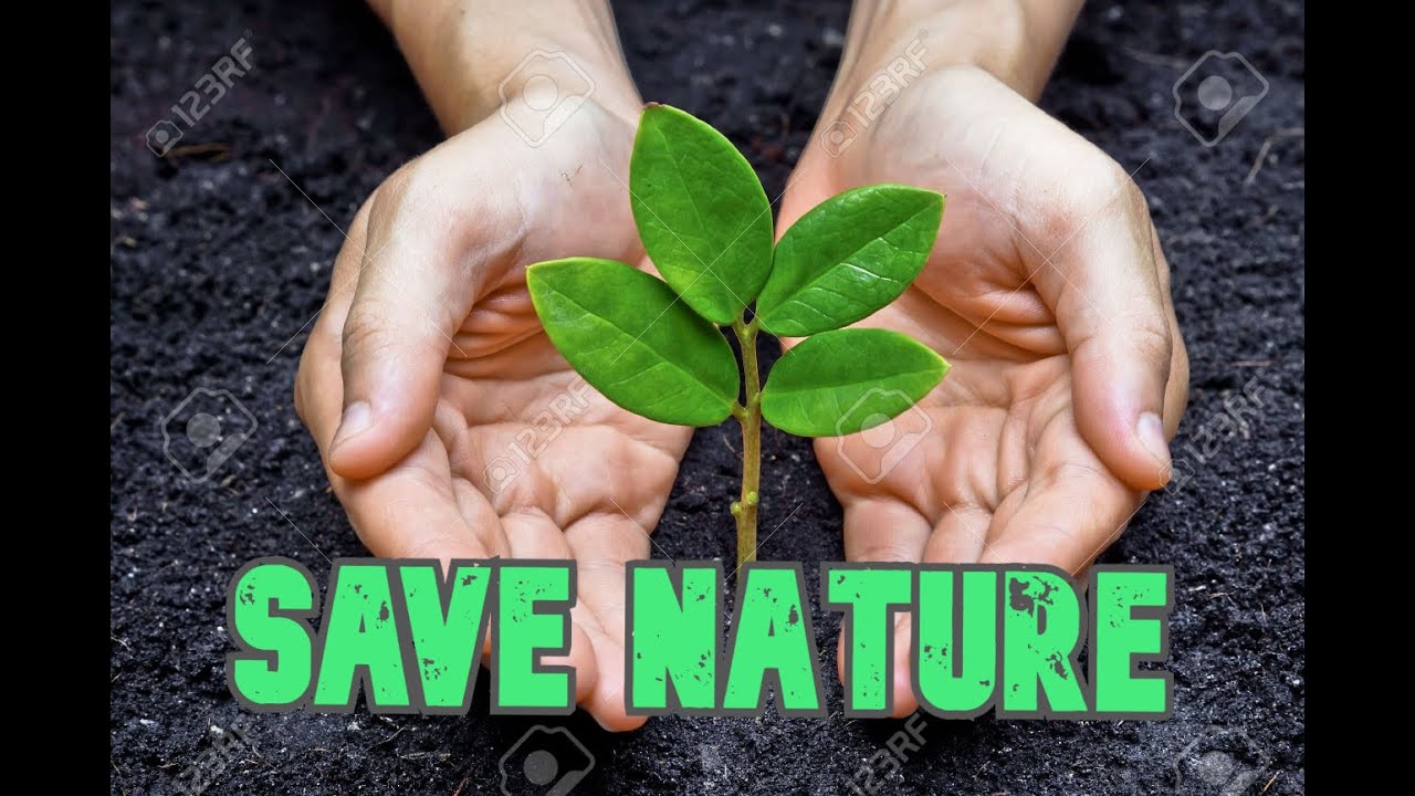 Stay Safe and Save Nature | Anwita's Save Nature | Super JO's Family ...
