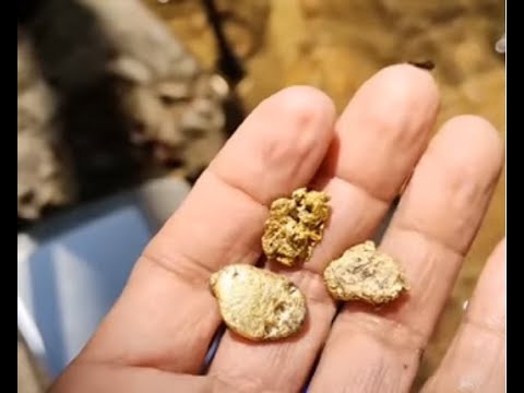 COMO ENCONTRAR ORO EN EL RIO, AQUÍ TE ENSEÑARÁ DE QUE MANERA HACERLO ...
