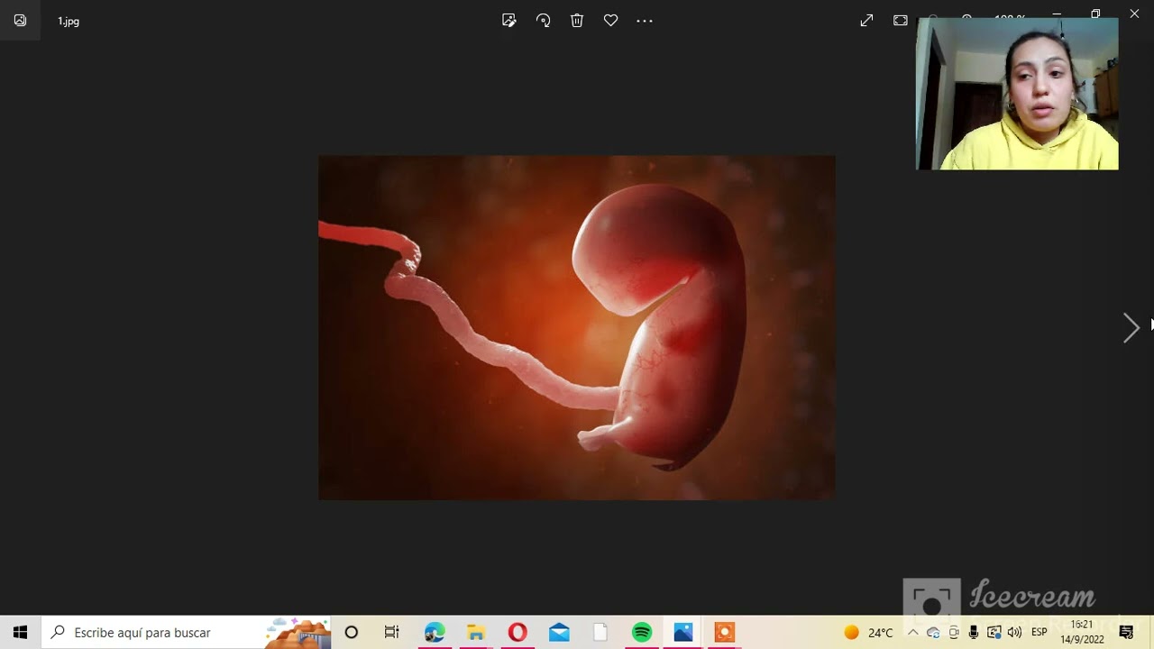 Ectodermo del embrión - YouTube