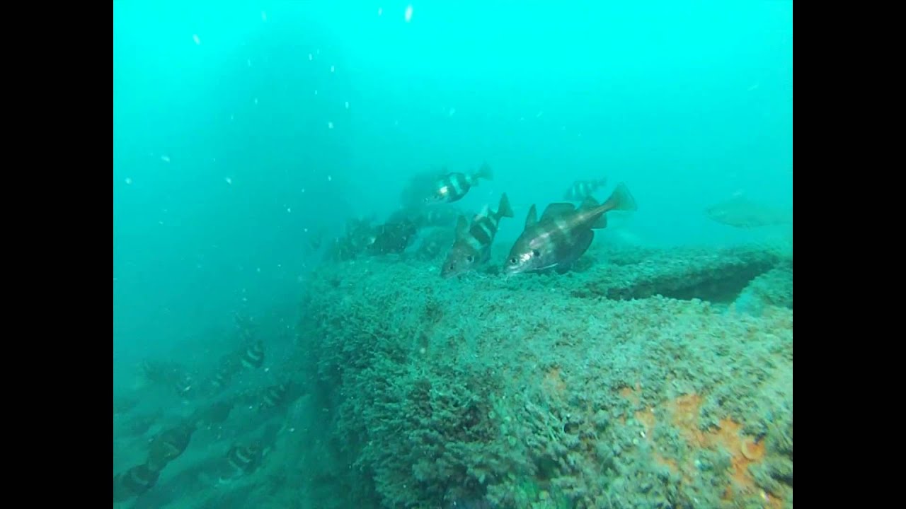 M2 Submarine - YouTube