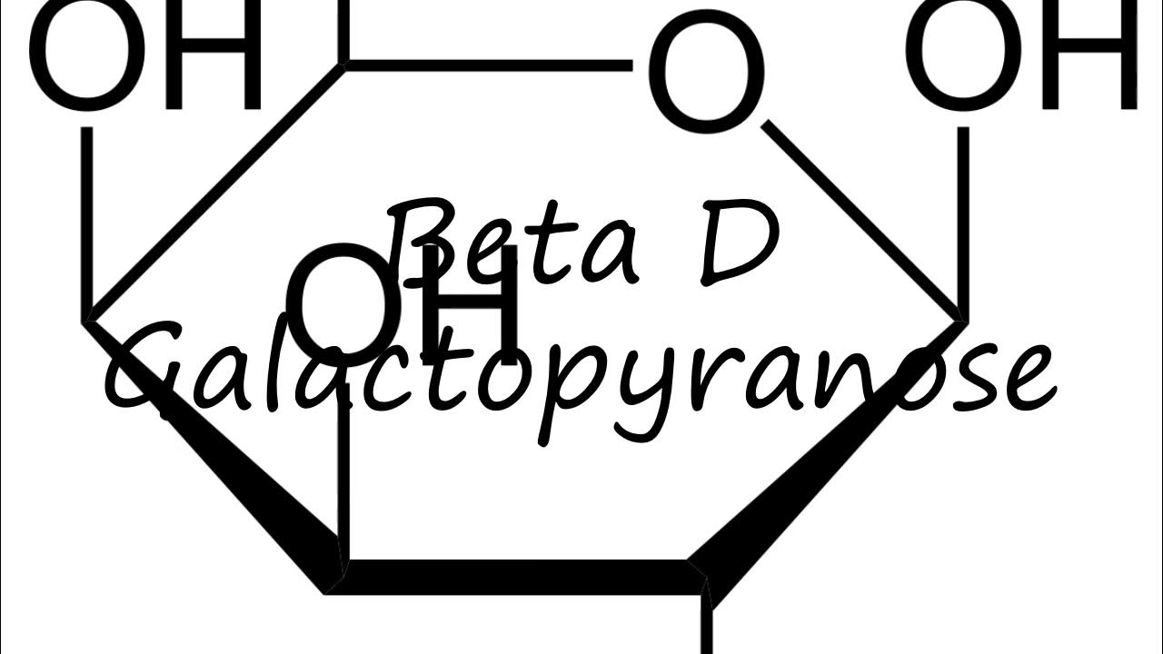 How To Pronounce Beta D Galactopyranose In English YouTube how-to-pronounce-beta-d-galactopyranose-in-english-youtube