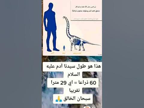 طول سيدنا ادم - YouTube