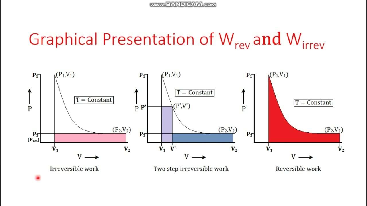 Thermodynamics: Lecture 7: Graphical Presentation of Wrev and Wirrev ...