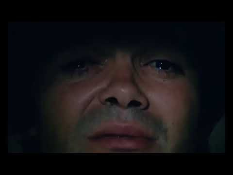 Película. \