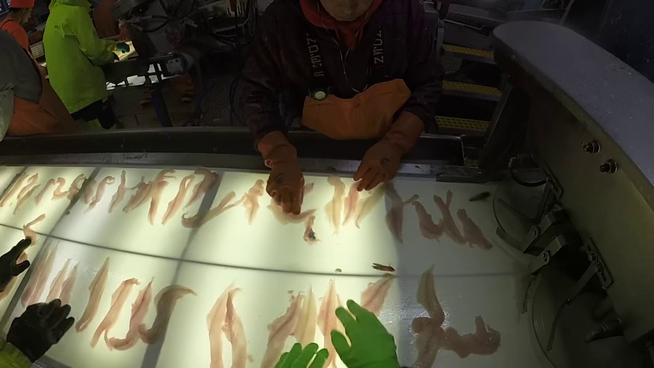 Fish process. - YouTube