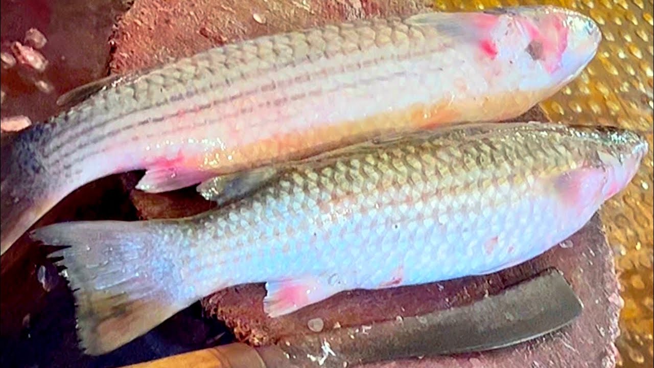 Delicious Big Batta & Pomfret Fish Cutting In Bangladesh Fish Market ...