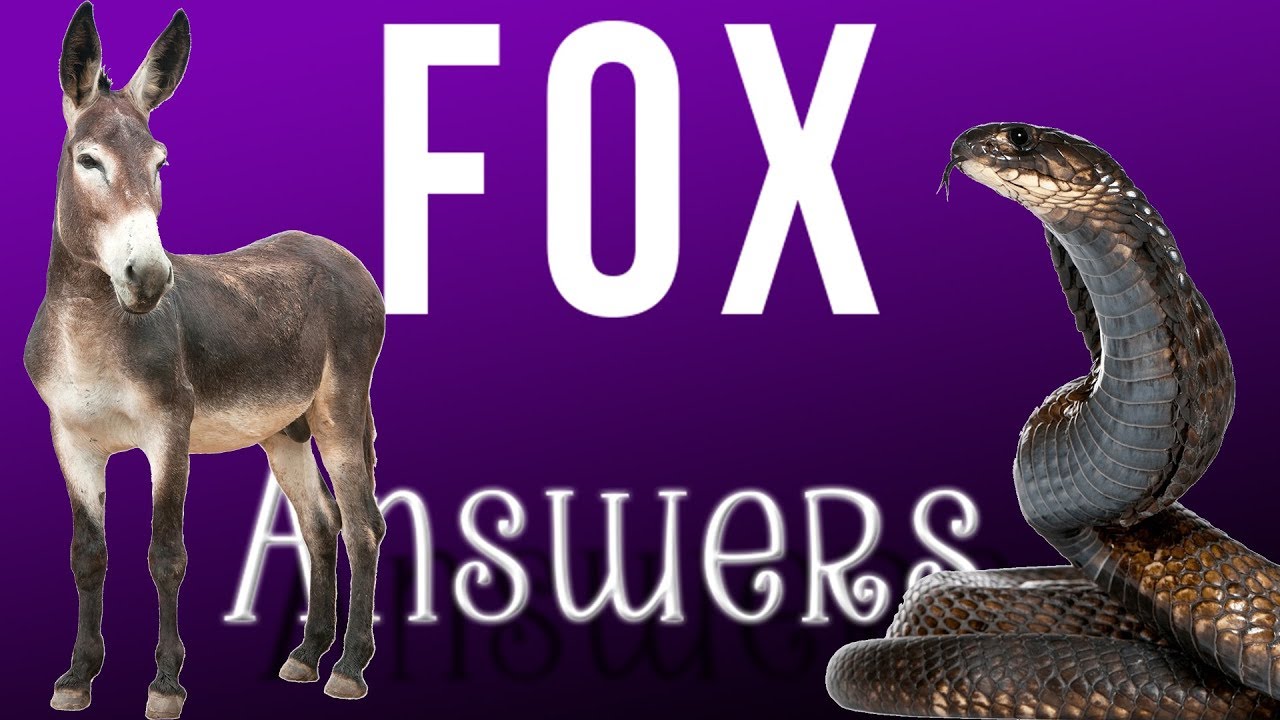 Can Snakes and Donkeys talk? - YouTube