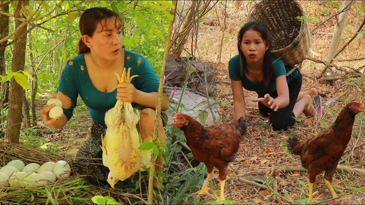 Catch chicken and pick egg/ Bound chicken with baby corn & Grill ...