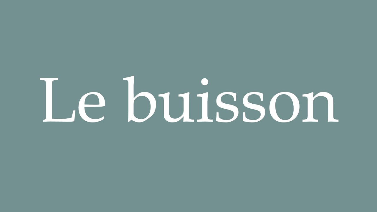 How to Pronounce ''Le buisson'' (The bush) Correctly in French - YouTube