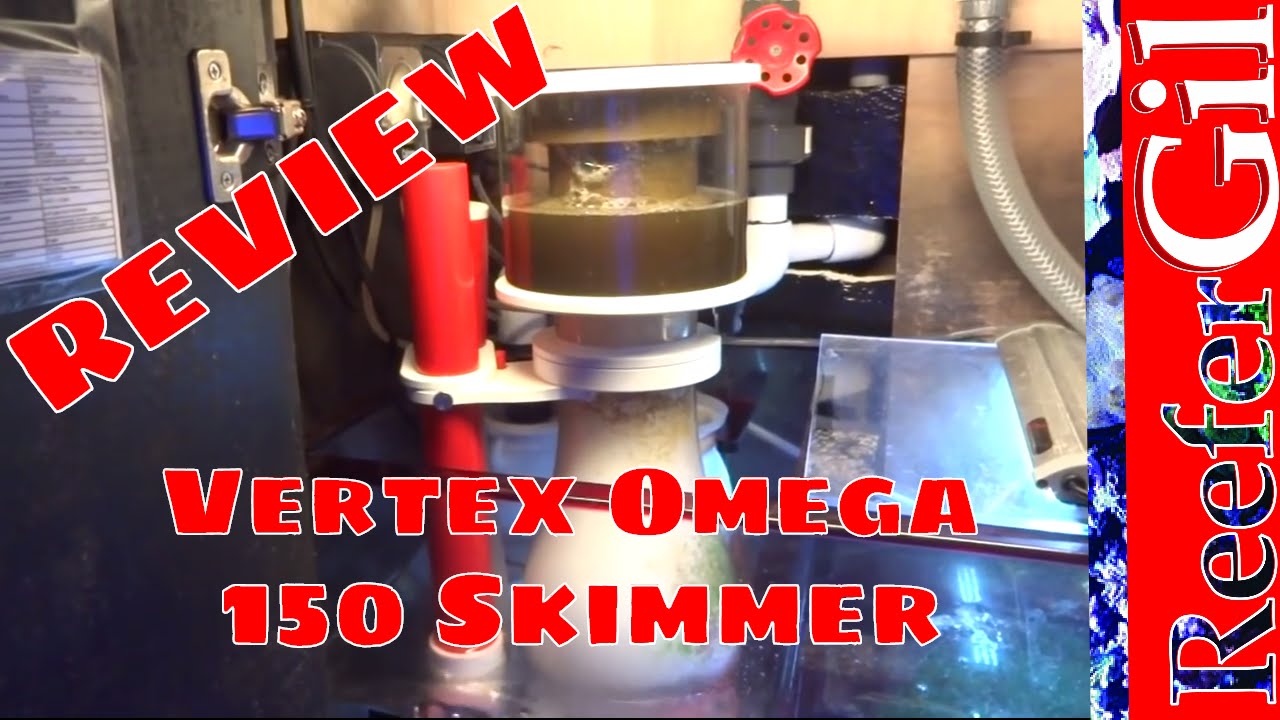 Vertex Omega 150 Skimmer Review/First Impressions - YouTube