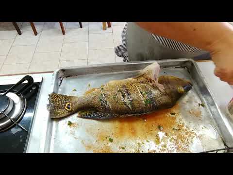 PEIXE TUCUNARÉ ASSADO COM REQUEIJÃO + MEU COOKTOP - YouTube
