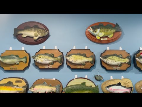 My Entire Singing Fish Collection! Updated - YouTube