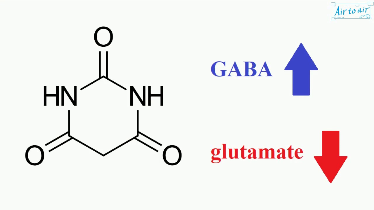 barbiturate (English) - Medical terminology for medical students ...