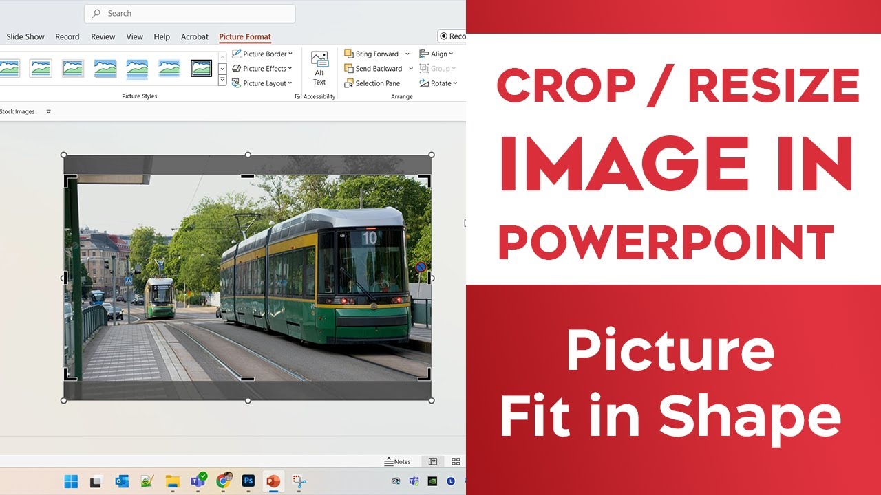 How to Crop PPT image | Crop a picture to fit in a shape in PowerPoint ...